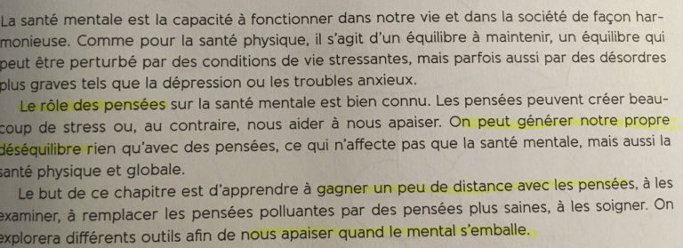 Le cahier mieux-être : la santé mentale – Anne Lemaire